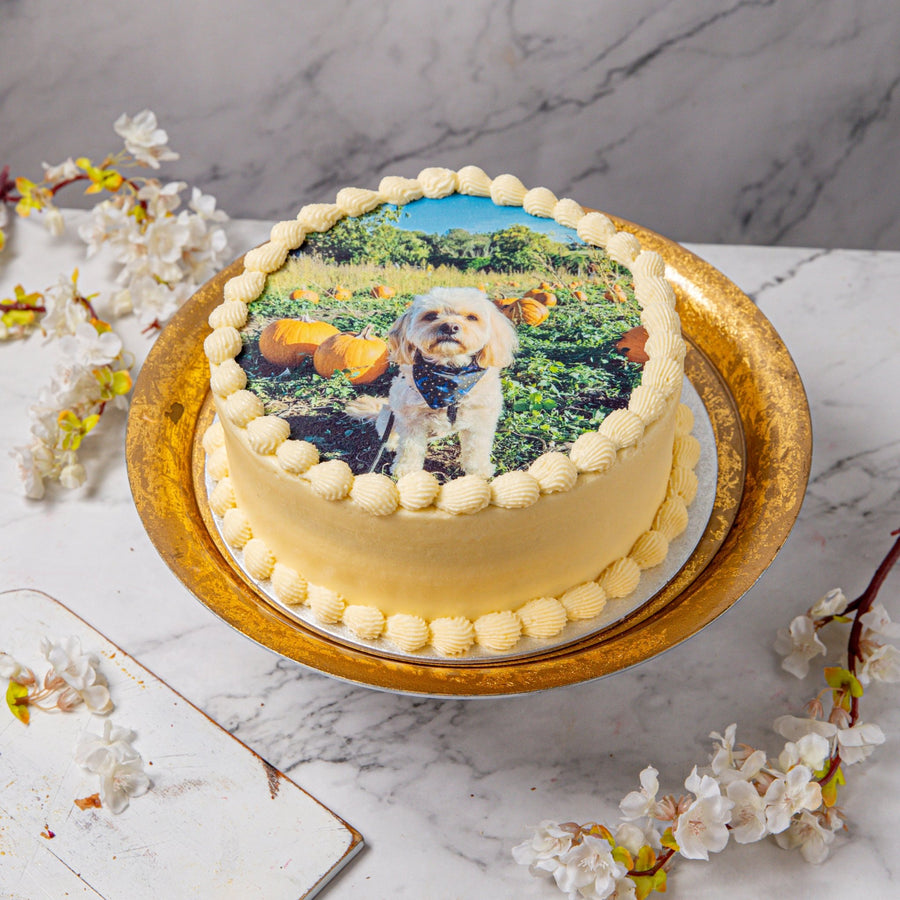 Personalised Cakes | Custom Cakes Online at Jack and Beyond
