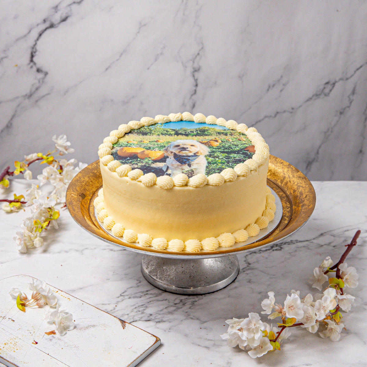 Personalised Edible Print Cake | Order Online – Jack and Beyond